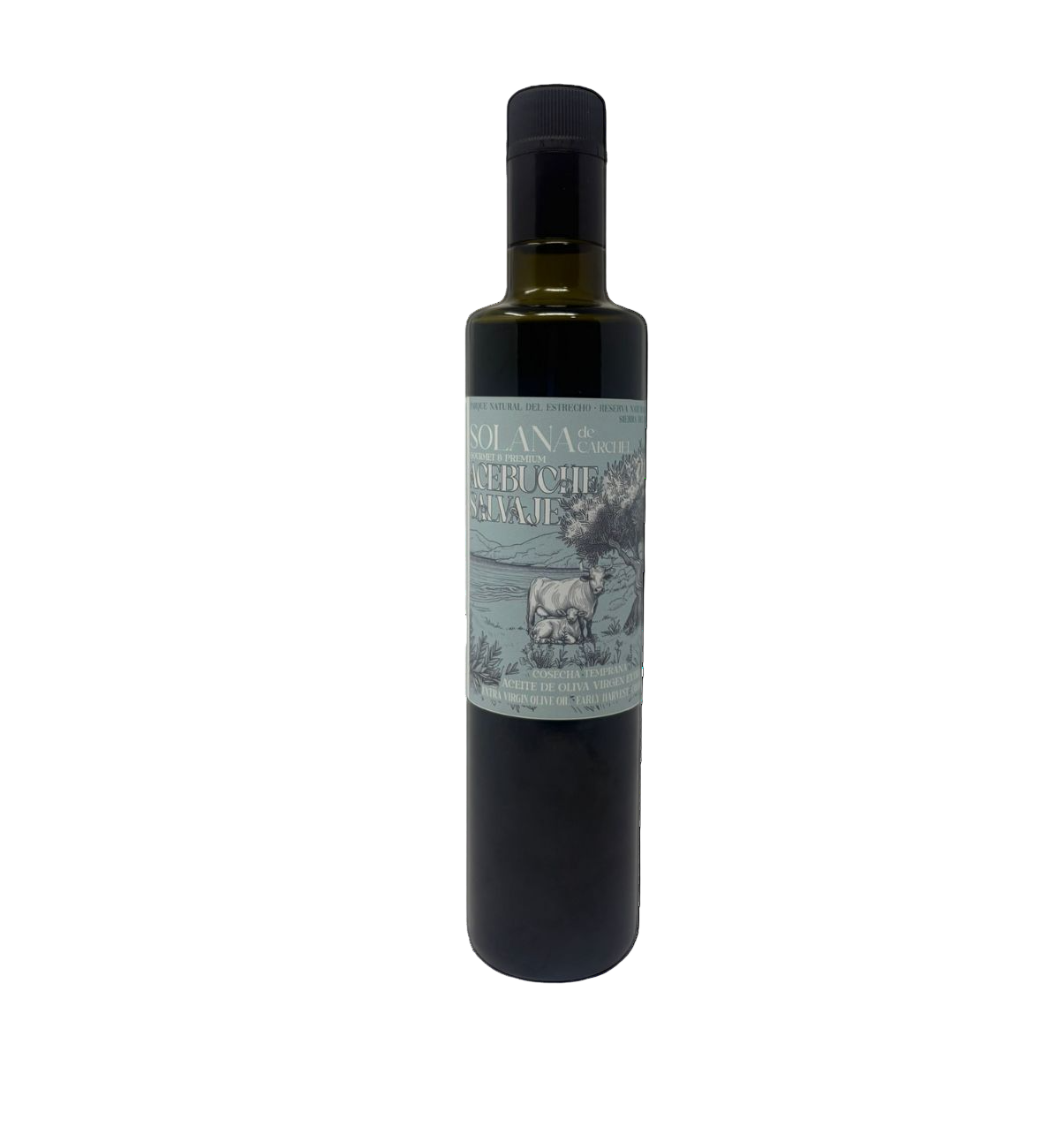 Acebuche Salvaje | Solana de Carchel – Mundiberico